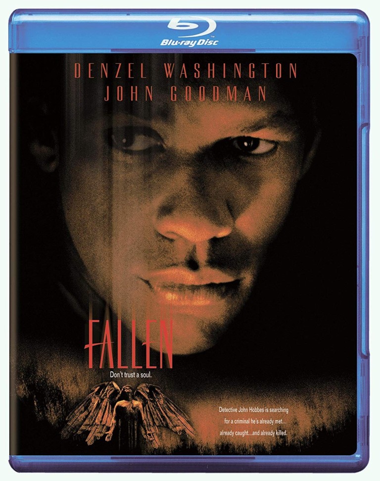 FALLEN – America Dvd